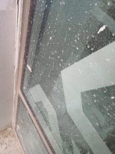 Window wall vs curtain wall vs storefront - Valid